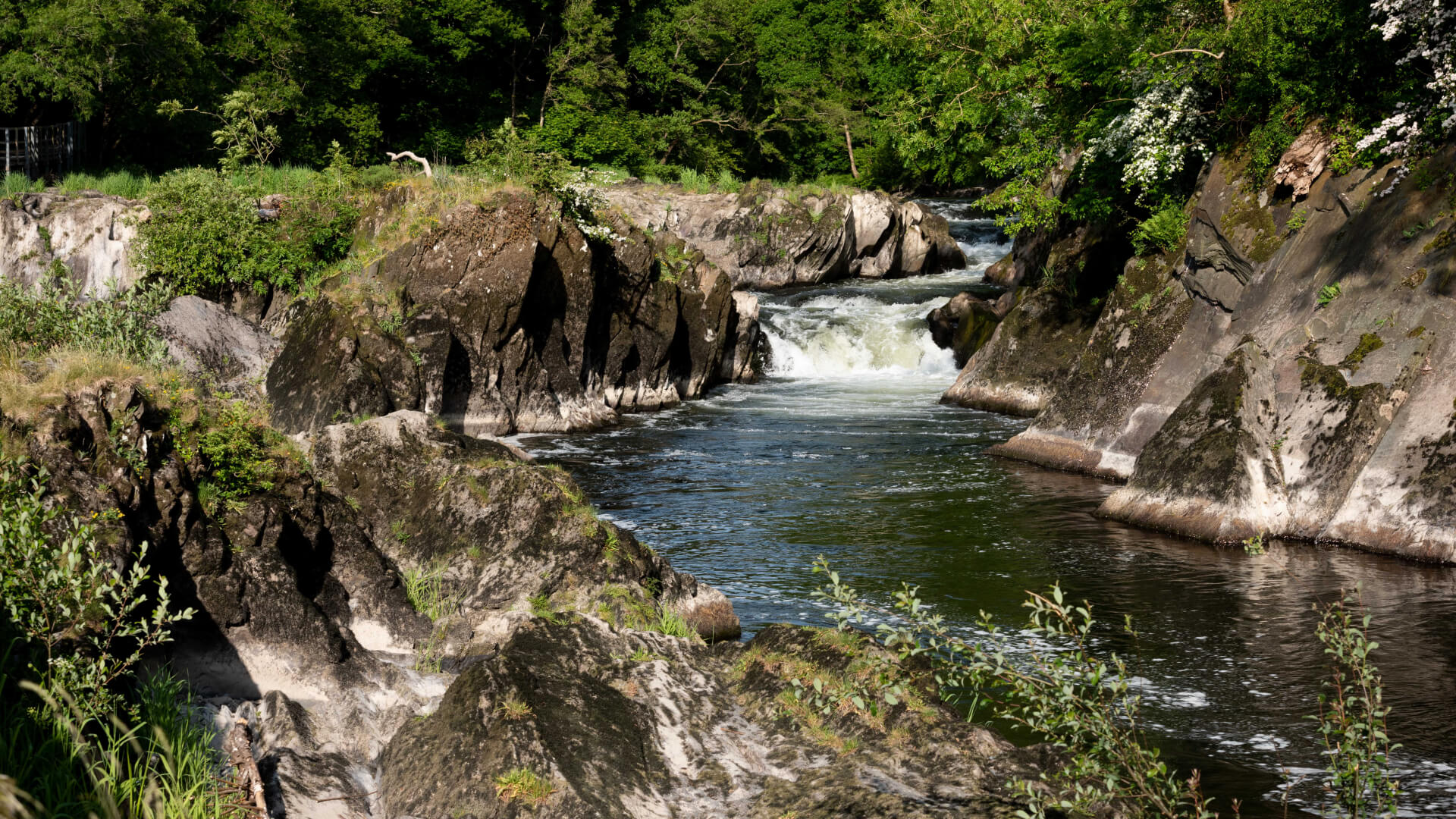 The Teifi Valley Trail - Teifi Valley Trail